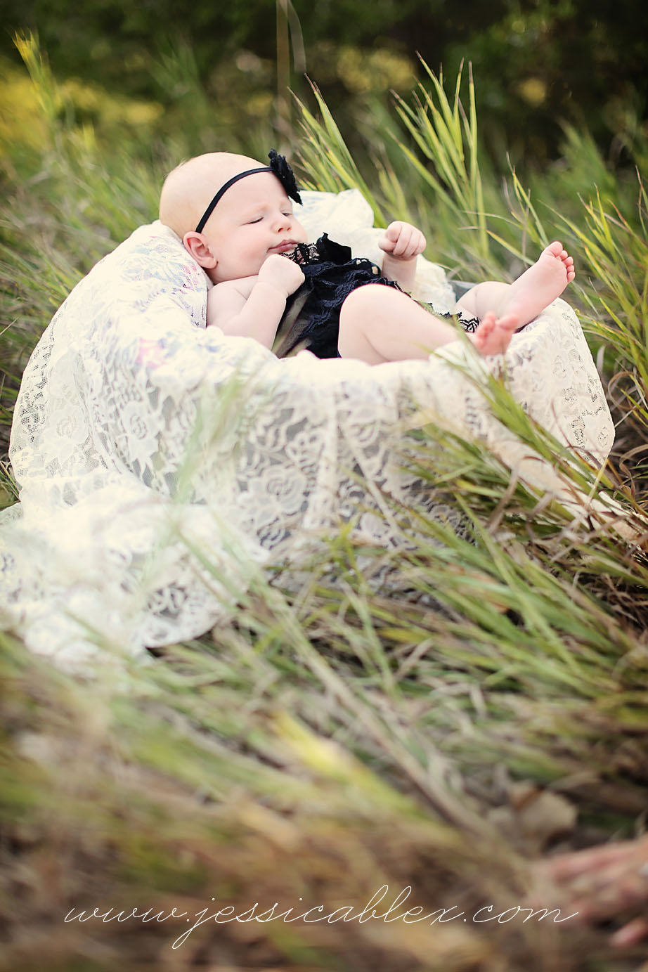 | PREVIEW | Miss Layla | Showit Blog